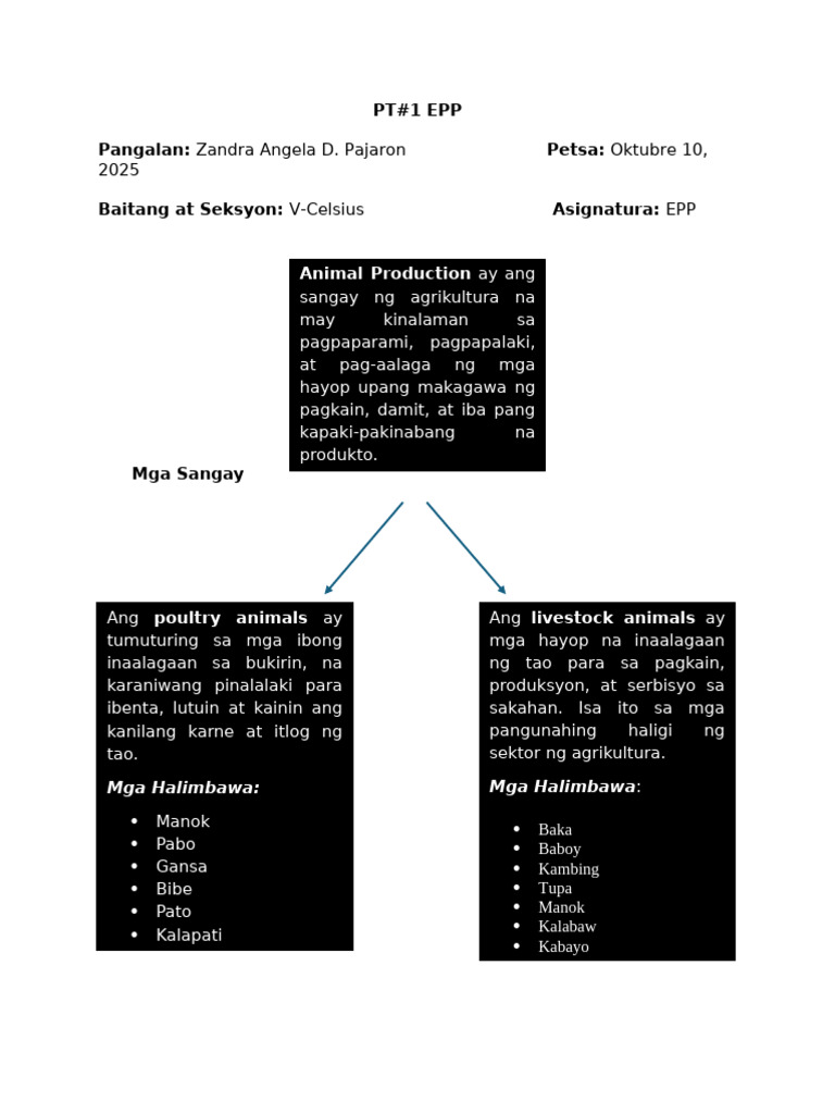 Zandra Angela | PDF