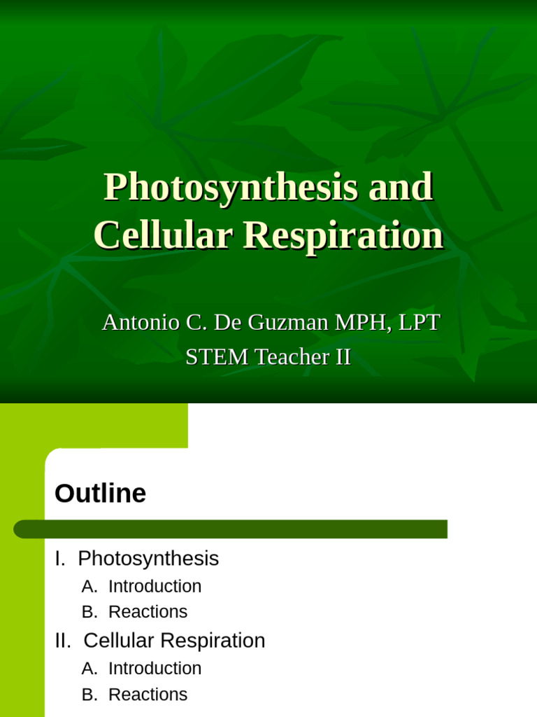 Photosynthesis and Cellular Respiration Post | PDF | Cellular ...