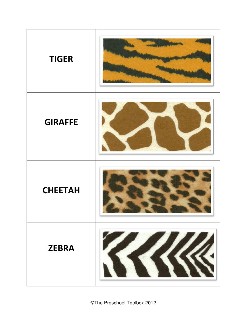 Zoo Animals Cut and Paste Activity | PDF