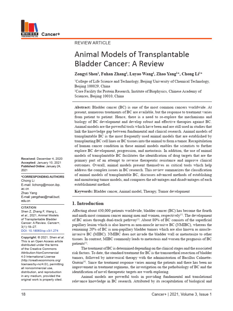 Animal Models of Transplantable Bladder Cancer a Review | PDF | Thymus ...