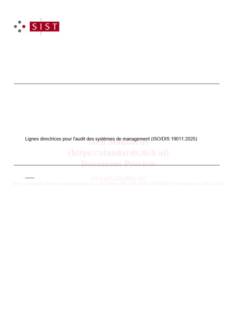 Guidelines for ISO 19011:2025 Audit | PDF | Audit | Auditor's Report