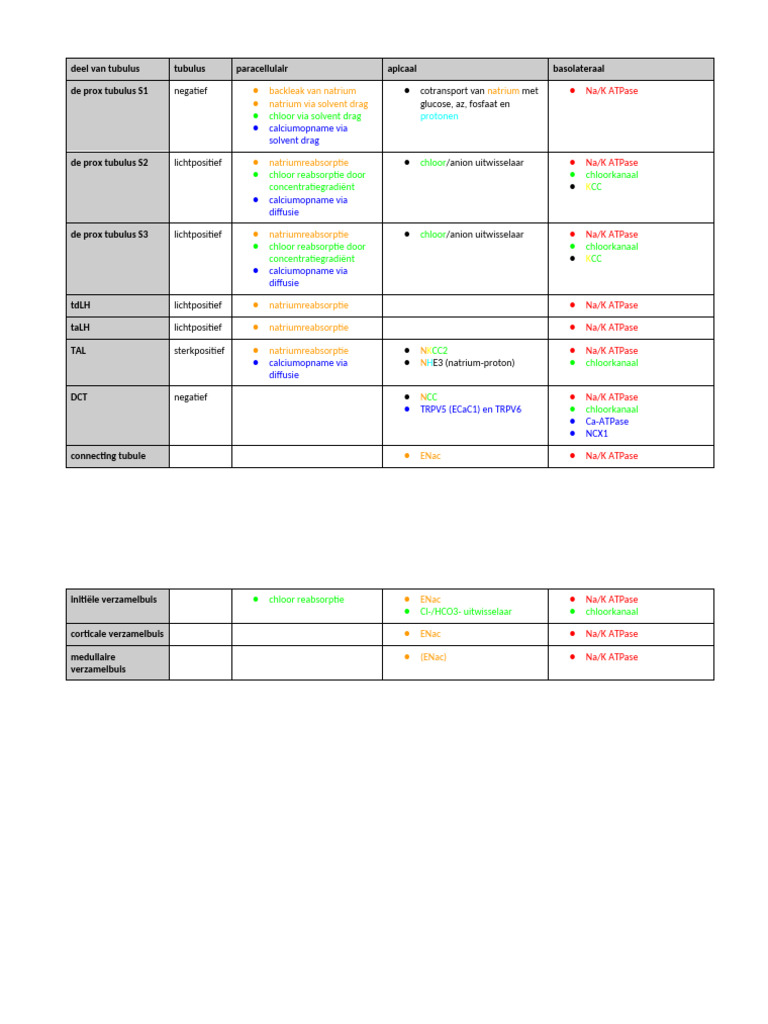 FYS Overzicht Tubulus | PDF