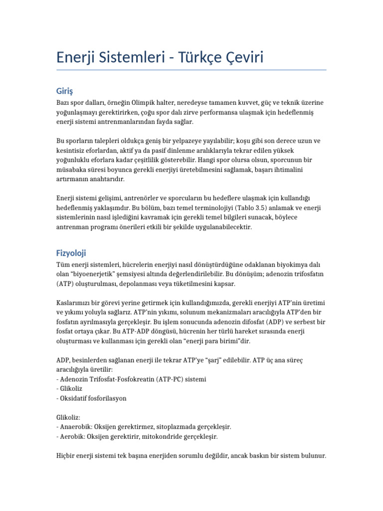 Enerji Sistemleri Turkce | PDF