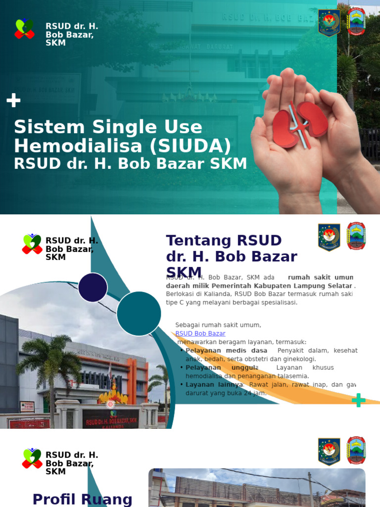 PPT SIUDA | PDF