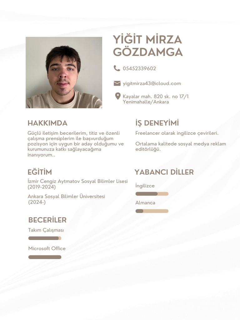 Yigit Mirza CV | PDF