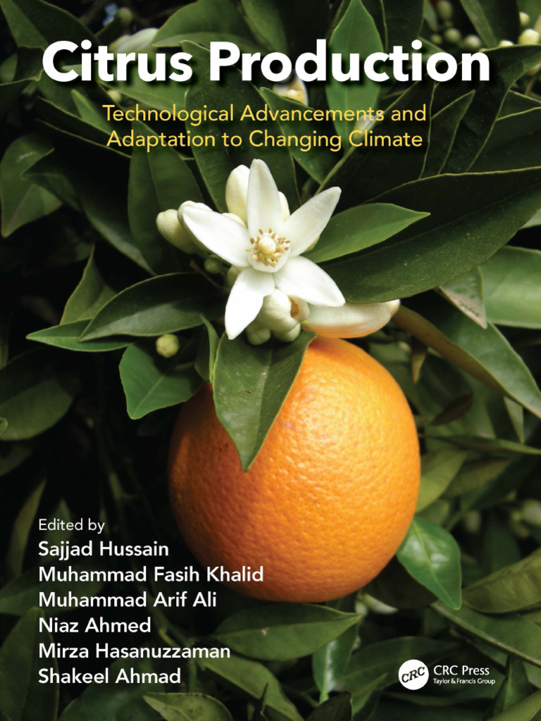 Advances in Citrus Production Techniques | PDF | Agriculture | Botany