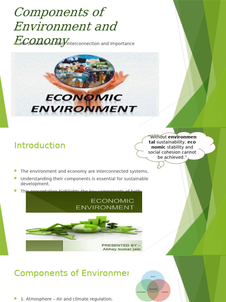Components of Environment and Economy | PDF | Natural Environment ...