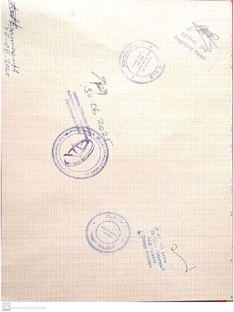 Alex MPH Original Back Final | PDF
