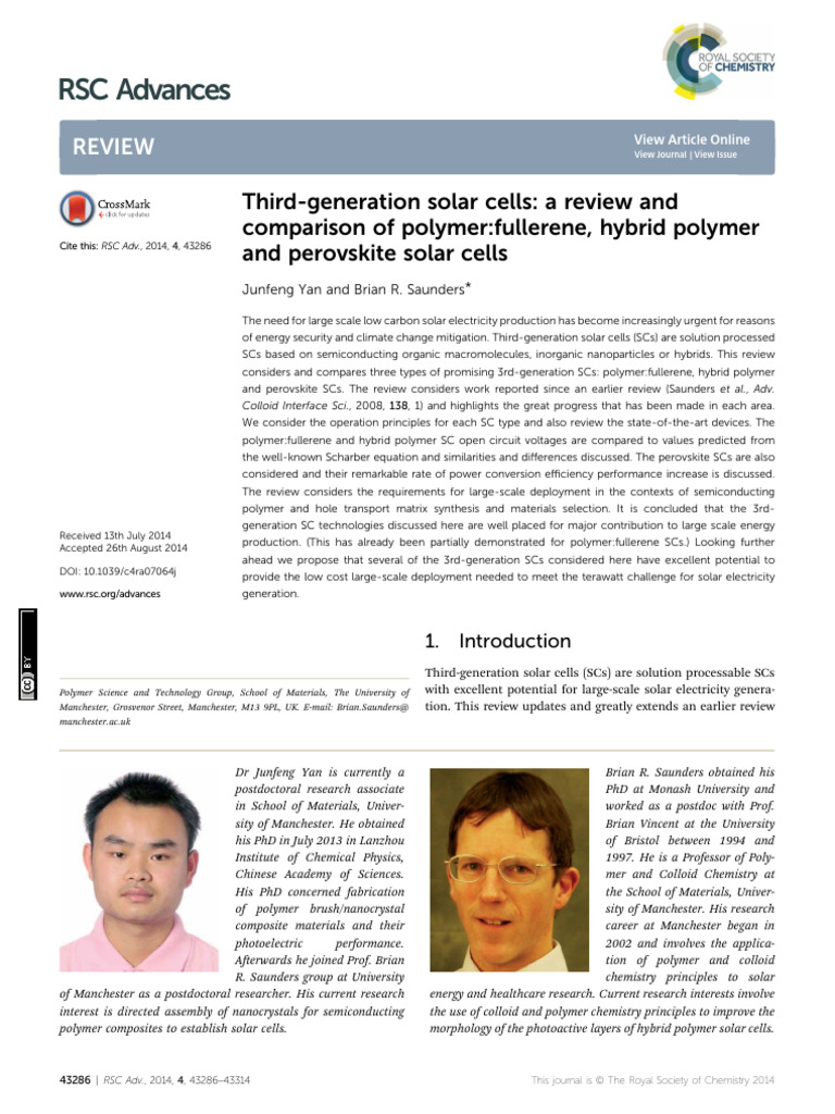 Third generation solar cells. a review and comparison of polymer ...