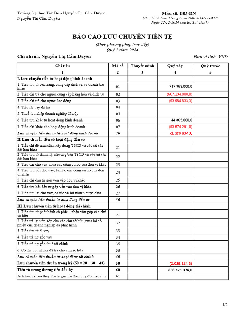 B03 DN Bao Cao Luu Chuyen Tien Te PP Truc Tiep | PDF