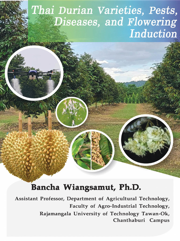Durian | PDF | Pest (Organism) | Pest Control