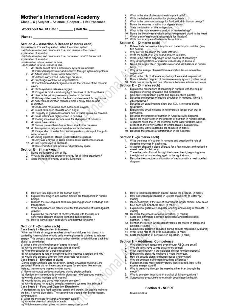 Life Process Worksheet 01 | PDF | Digestion | Breathing
