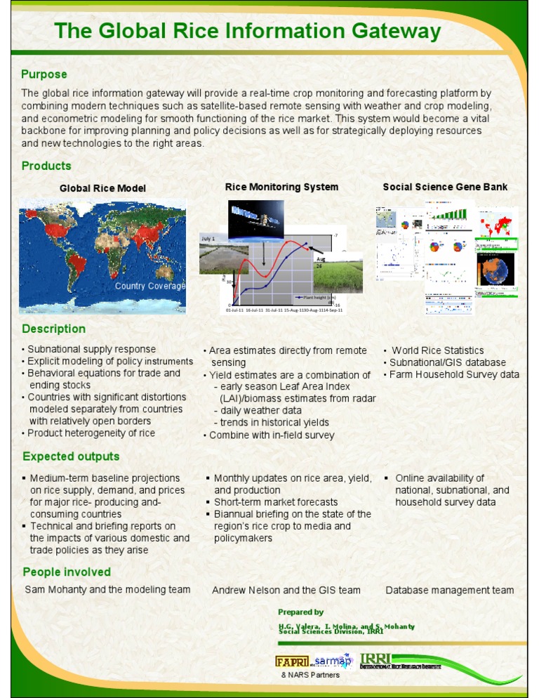 Global Rice Monitoring and Forecasting System | PDF