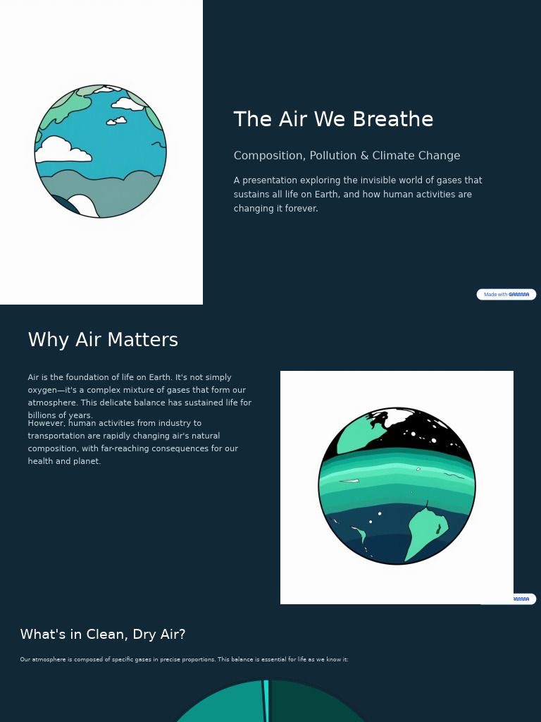 The Air We Breathe | PDF | Combustion | Atmosphere Of Earth