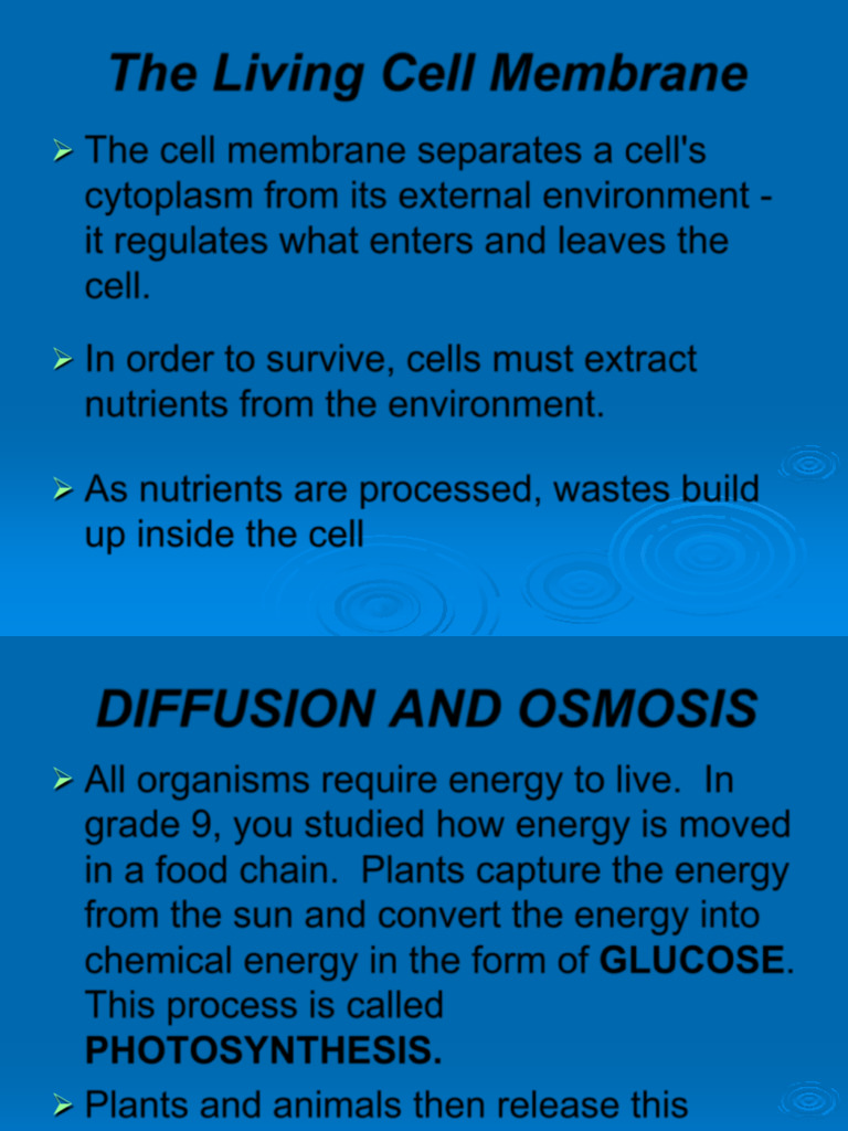 Diffusion and Osmosis | PDF | Osmosis | Chemistry