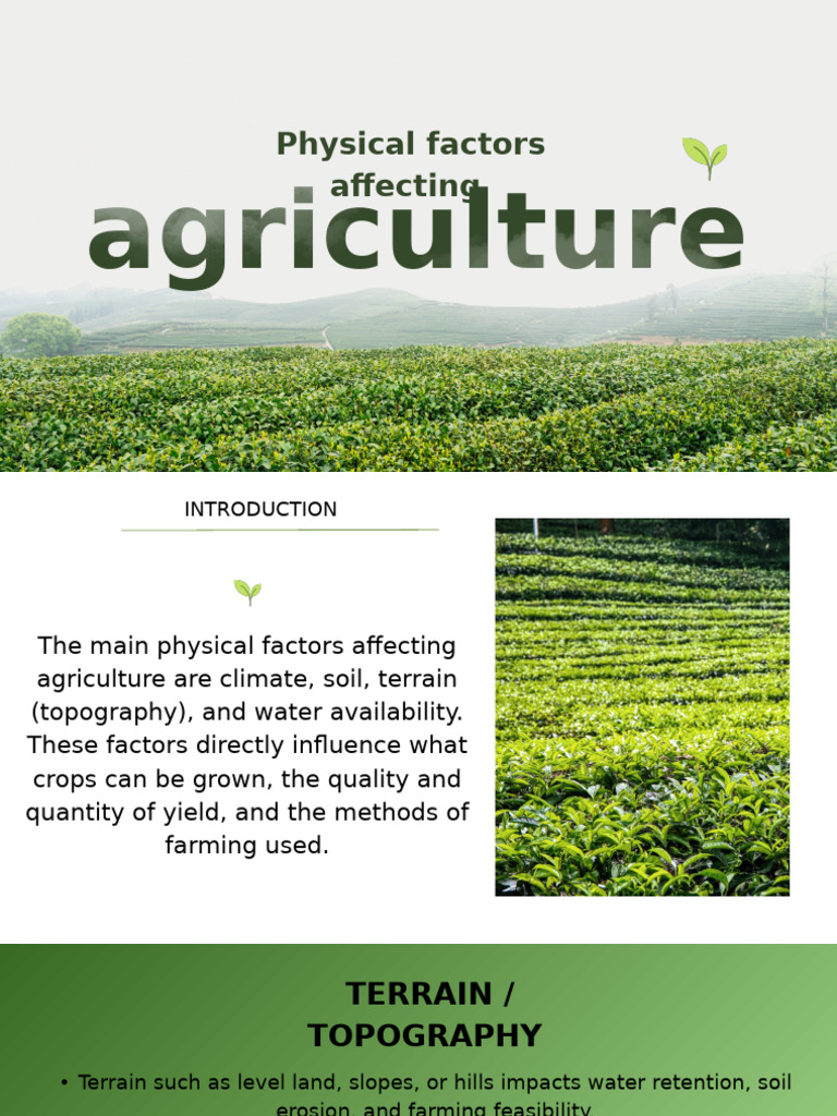 Physical Factors Affecting | PDF | Agriculture | Soil
