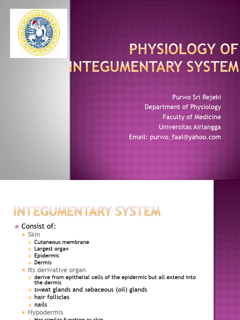2 - Physiology of Integumentary System FK | PDF | Skin | Epidermis