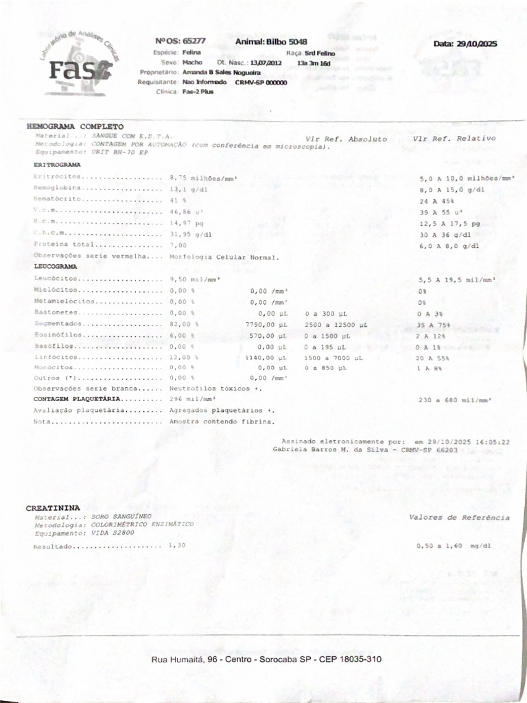Documento Escaneado 2 | PDF