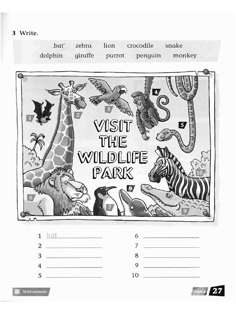 Unit 4 - Wild Life | PDF