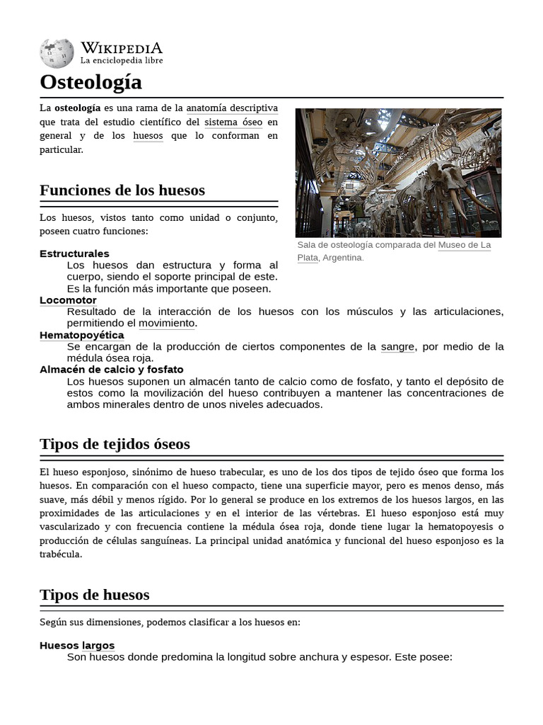 Estudio de la Osteología y Huesos | PDF | Hueso | Morfología (biología)