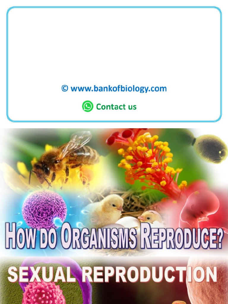 8 How Do Organisms Reproduce Class X Pic Part 2 1600 PDF - Gdrive.vip | PDF