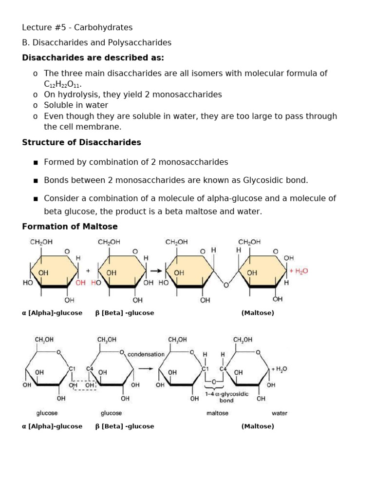 BioChem Lecture 5 | PDF | Glucose | Carbohydrates