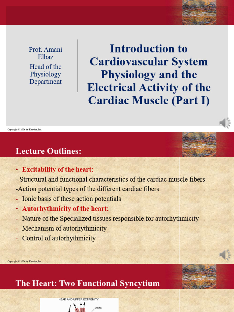 L1 Electrical Activity of Cardiac Muscle P1 | PDF | Cardiac Muscle | Heart