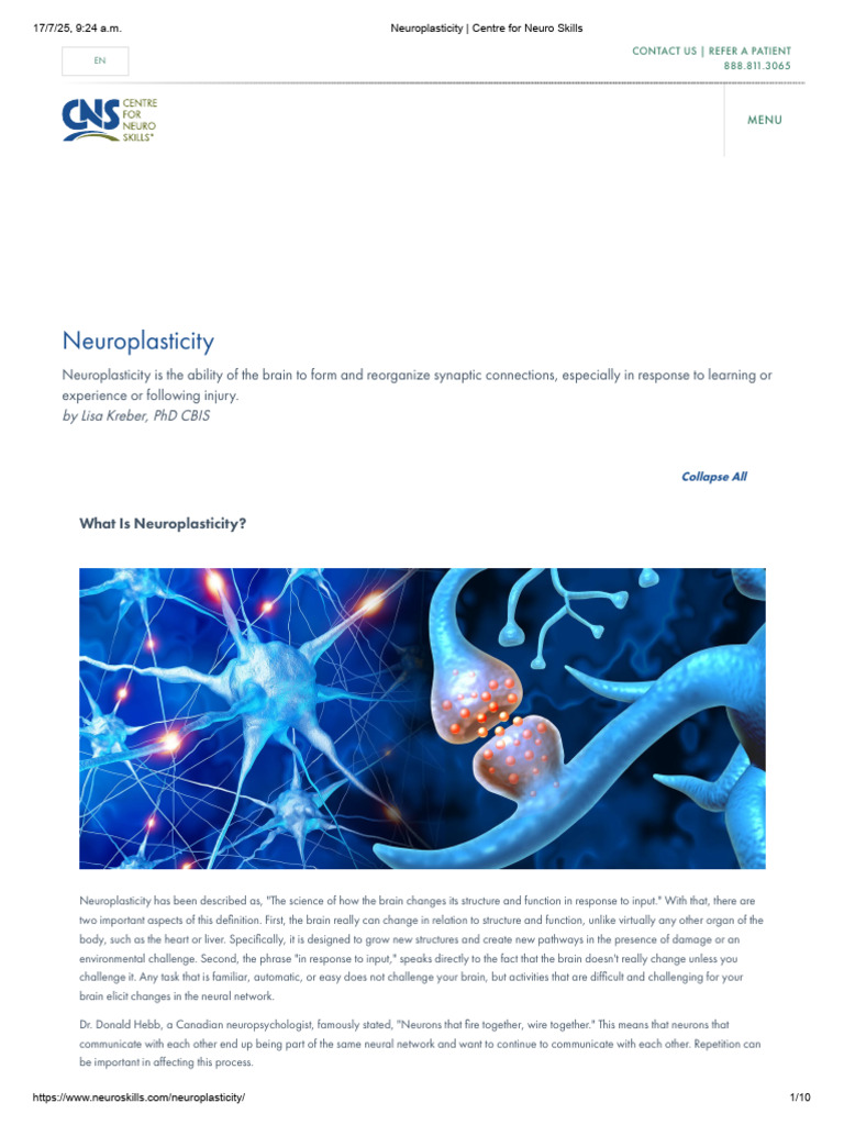 Neuroplasticity - Centre For Neuro Skills | PDF | Neuroplasticity | Neuron
