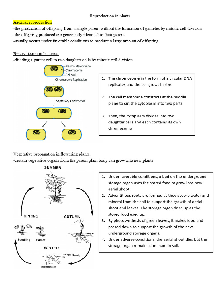 Reproduction in Plants | PDF | Flowers | Sexual Reproduction
