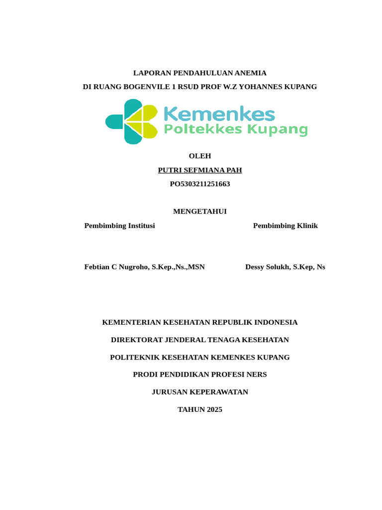 LP Anemia Putriii | PDF