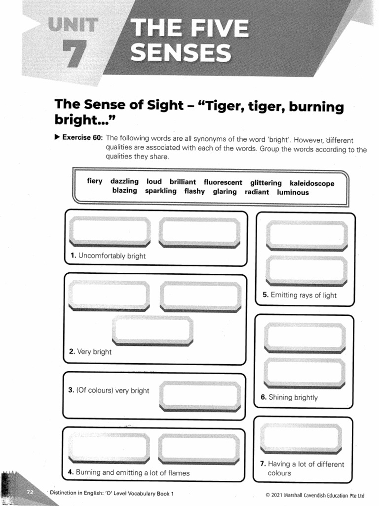 The Five Senses | PDF