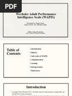 Maze Test for Driving Assessment | PDF | Executive Functions ...