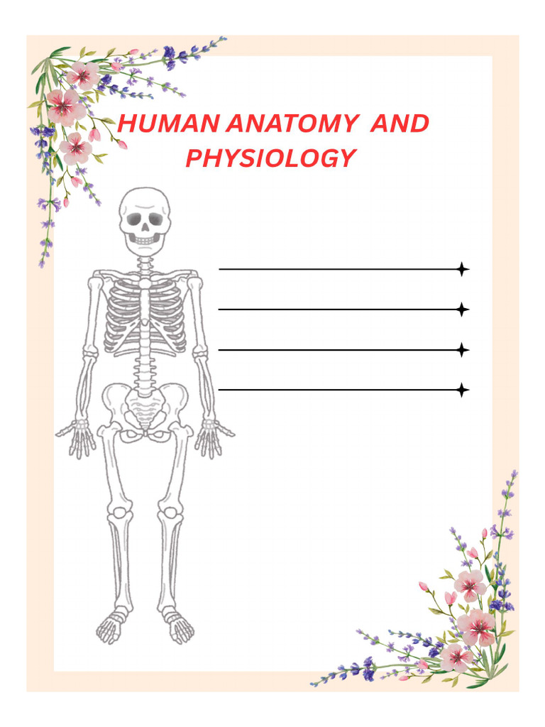 Human Anatomy and Physiology 1 | PDF