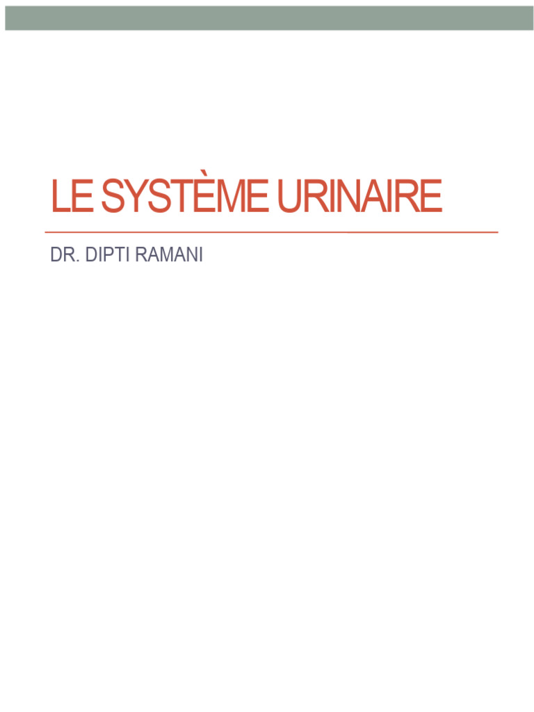 Anatomie et Fonction du Système Urinaire | PDF | Appareil urinaire | Rein