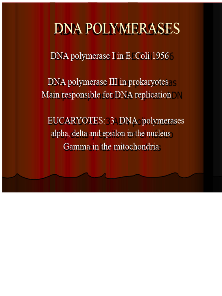 DNA Replication Slides | PDF | Dna Replication | Dna