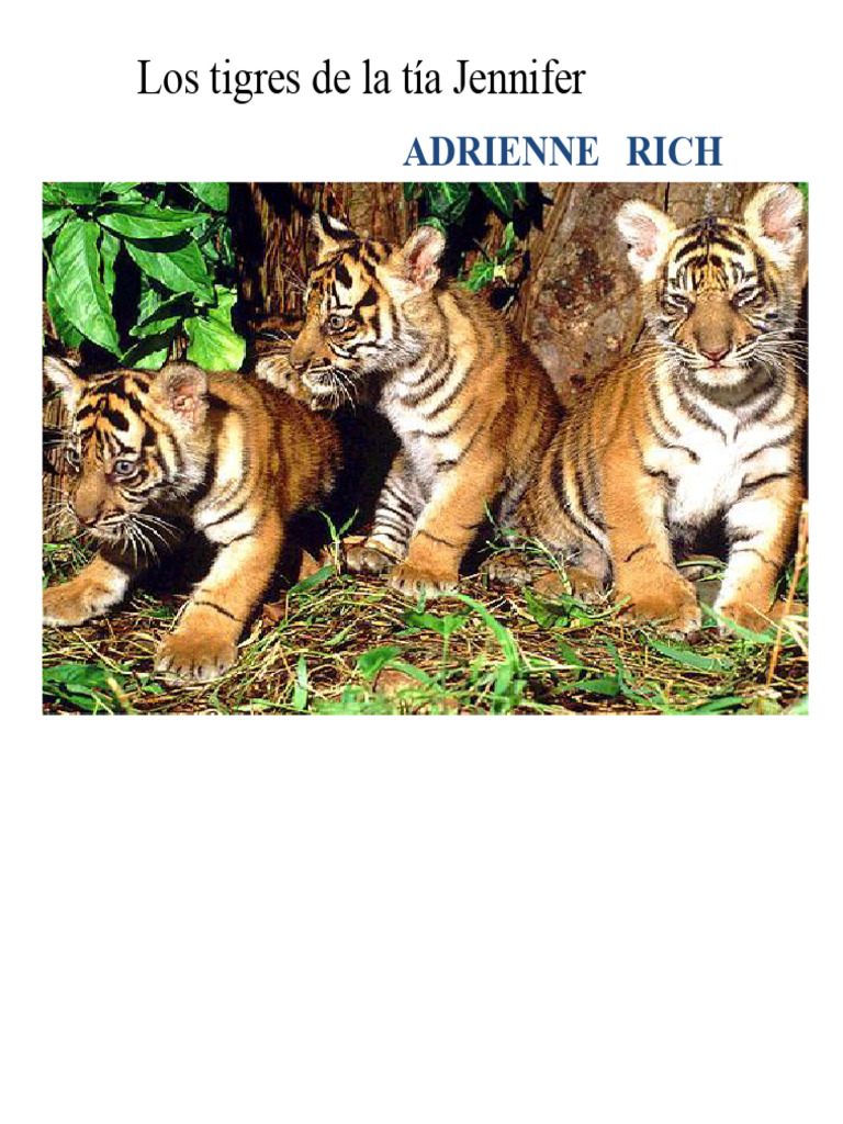 Los Tigres de La Tía Jennifer | PDF
