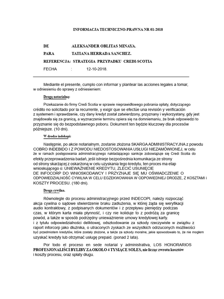 Raport Techniczno-Prawny n | PDF