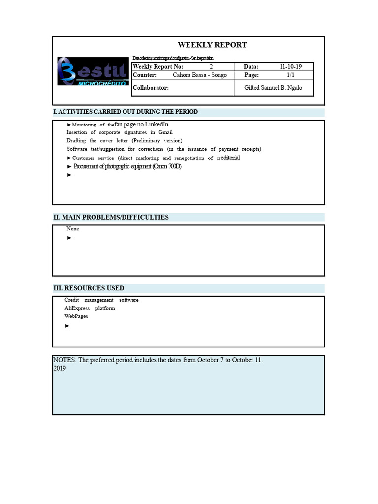 Example of Weekly Report | PDF