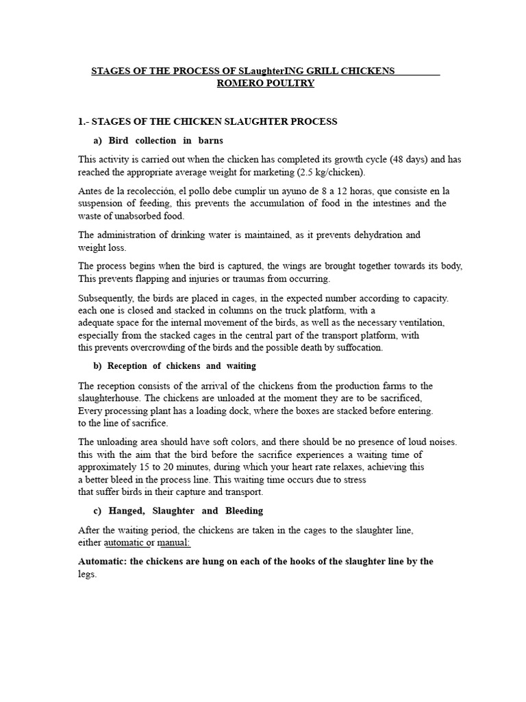 Stages of The Slaughter Process of Grilling Chickens | PDF | Poultry ...