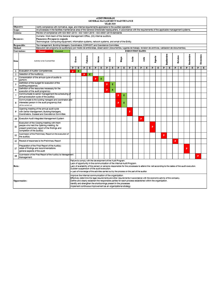 ANNUAL AUDIT PROGRAM | PDF | Audit | Internal Audit