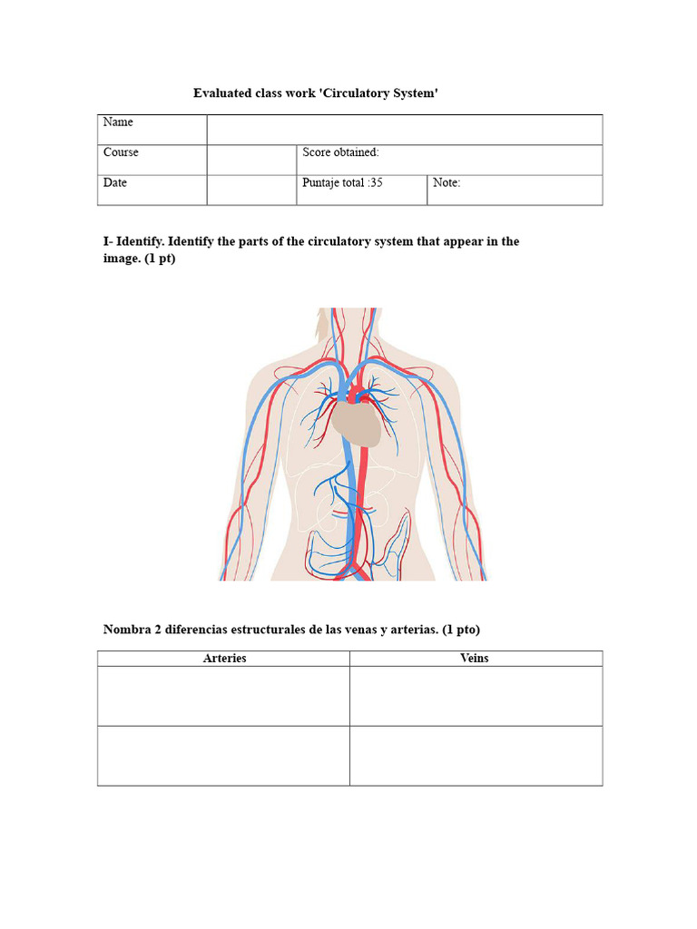 Evaluated Class Work Science Fifth | PDF | Circulatory System | Heart