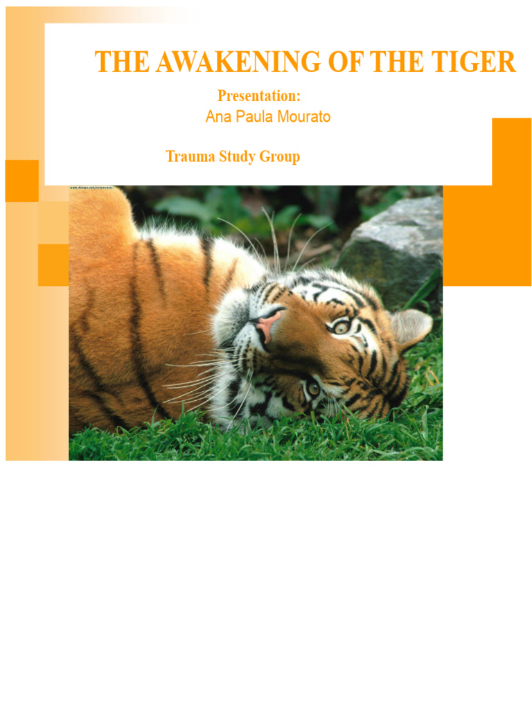 The Awakening of The Tiger | PDF | Psychological Trauma | Fight Or ...
