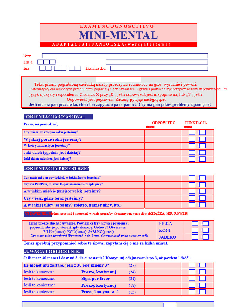 Mini Mental | PDF