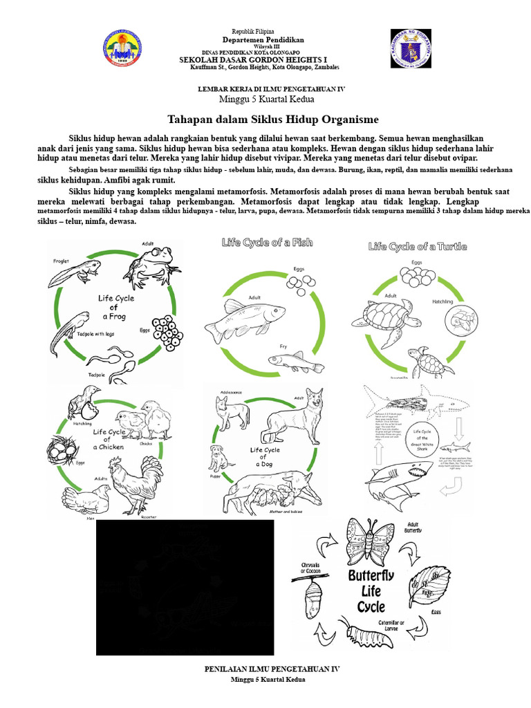 LAS_SCIENCE4_Q2W5 | PDF