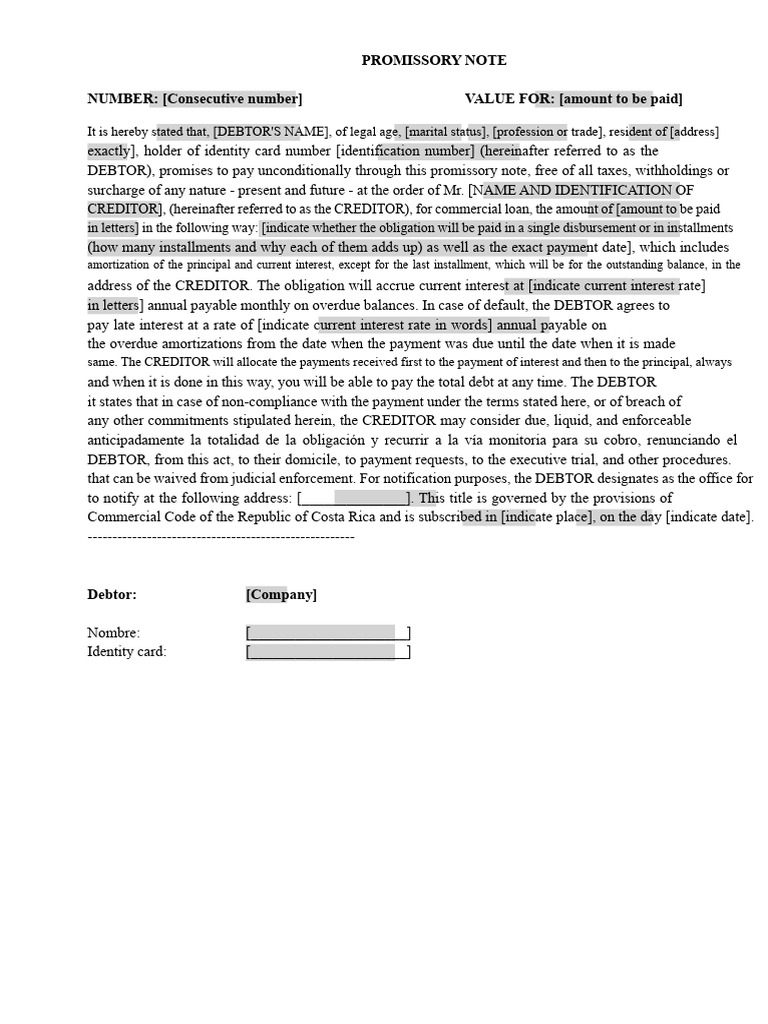 Promissory Note Template | PDF | Promissory Note | Debtor