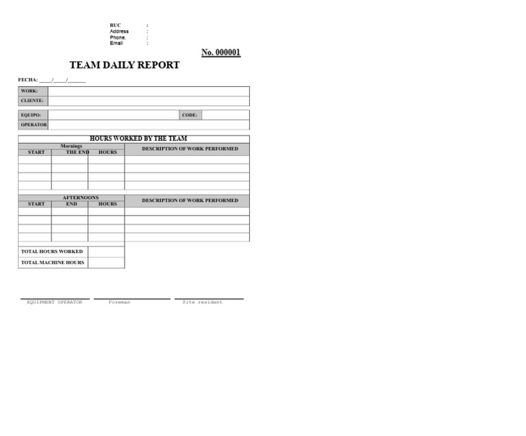 Daily Report Format | PDF