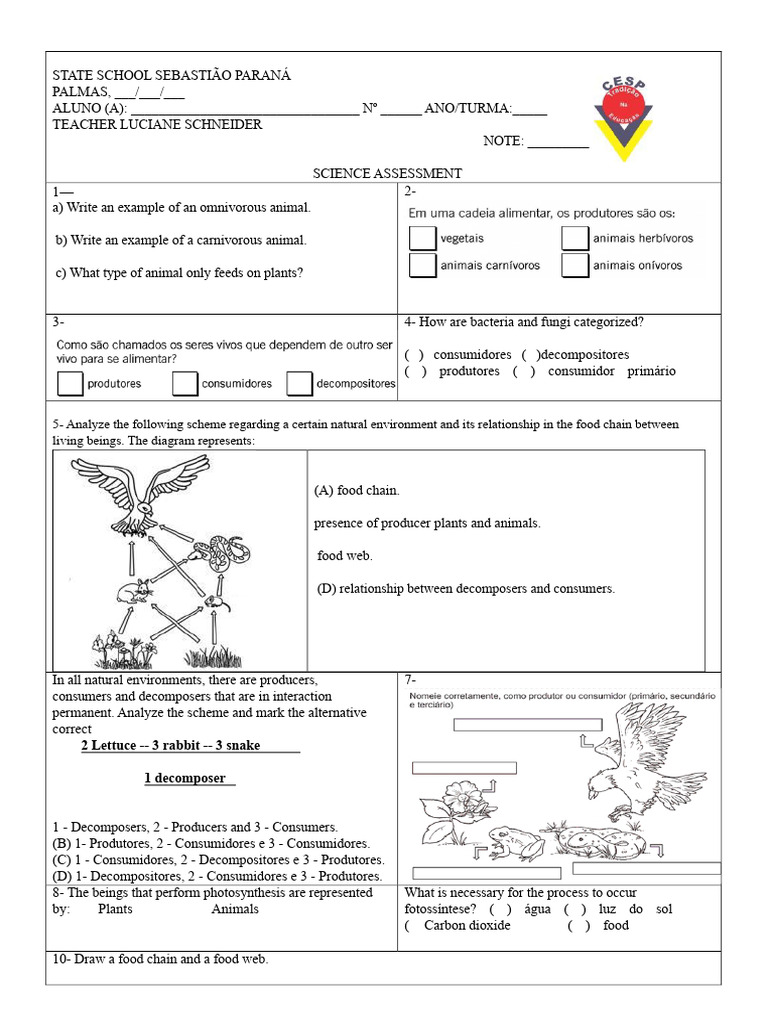Food Chain Test 6th Grade | PDF
