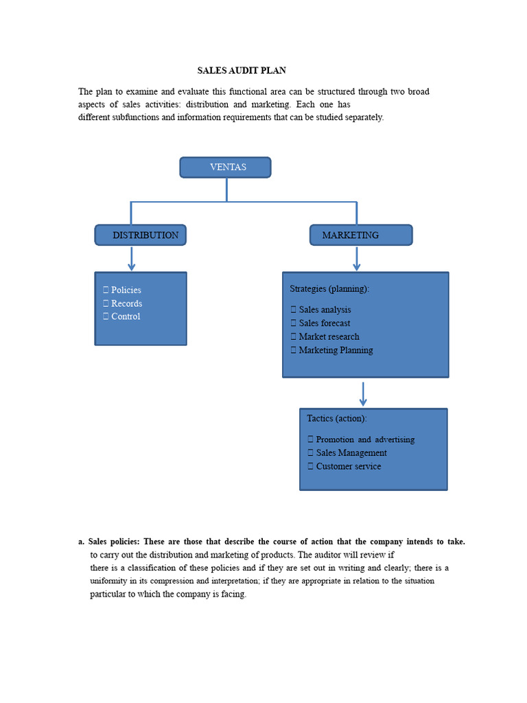 Sales Audit Plan Overview and Checklist | PDF | Marketing | Sales