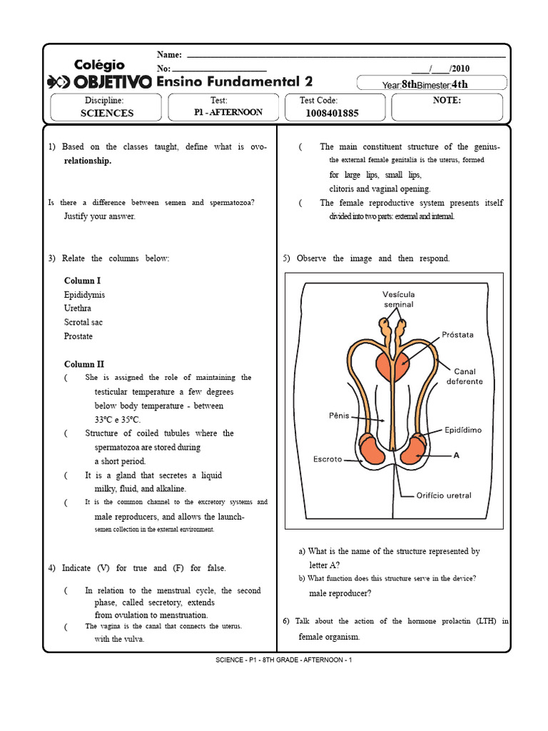 8th Grade Exam | PDF | Premenstrual Syndrome | Menstrual Cycle