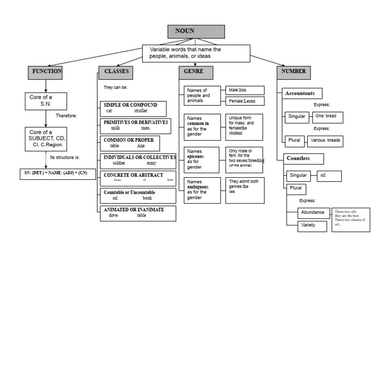 Conceptual Map of Nouns | PDF | Grammatical Gender | Noun